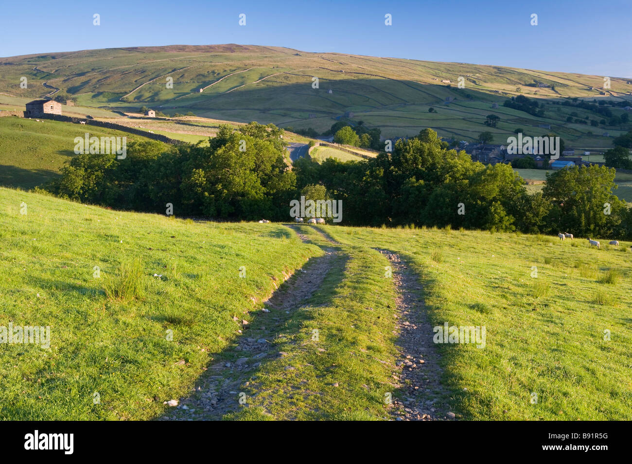 Swaledale, Yorkshire Dales National Park, UK Stock Photo - Alamy