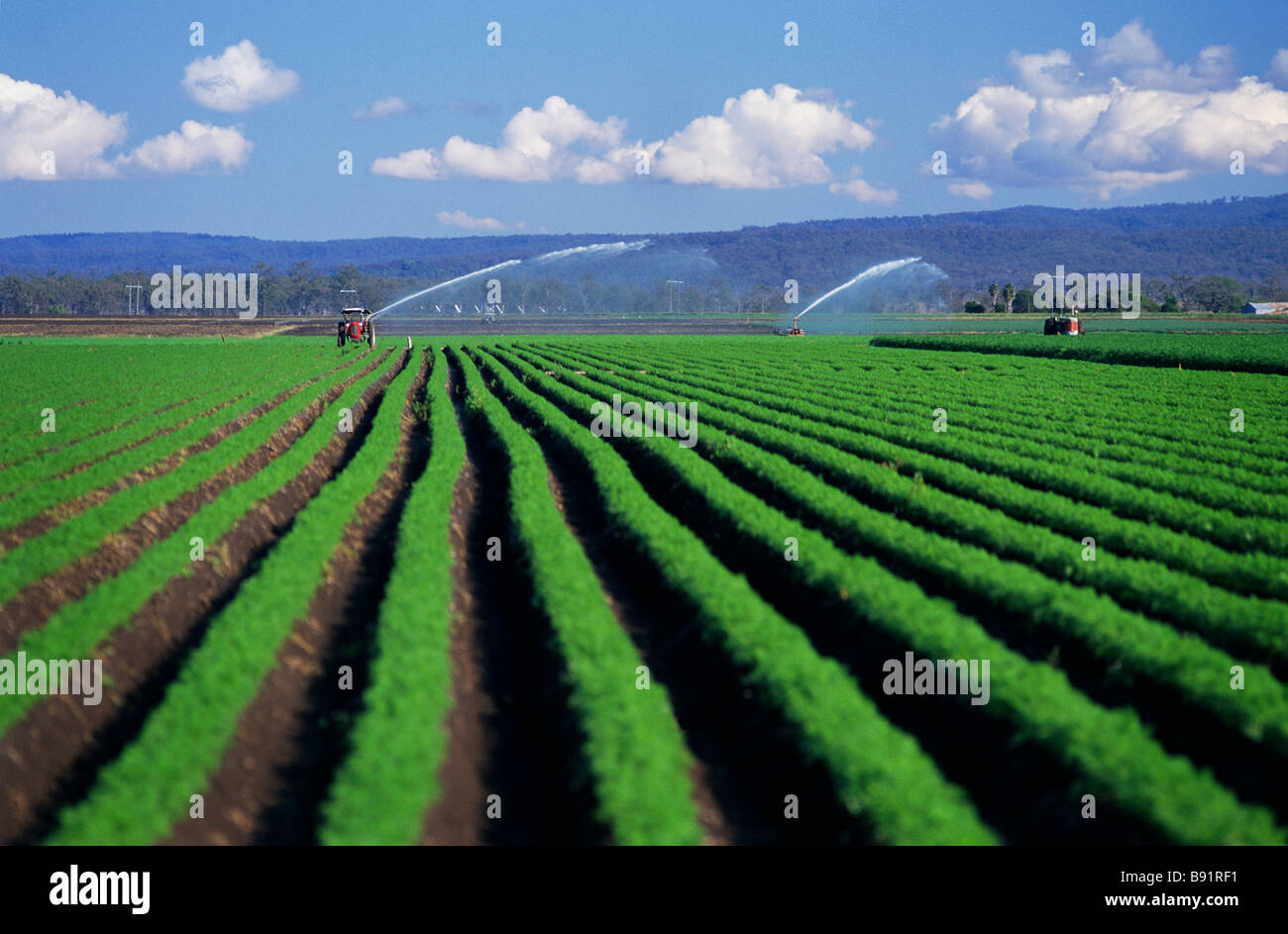 Crop irrigation hi-res stock photography and images - Alamy