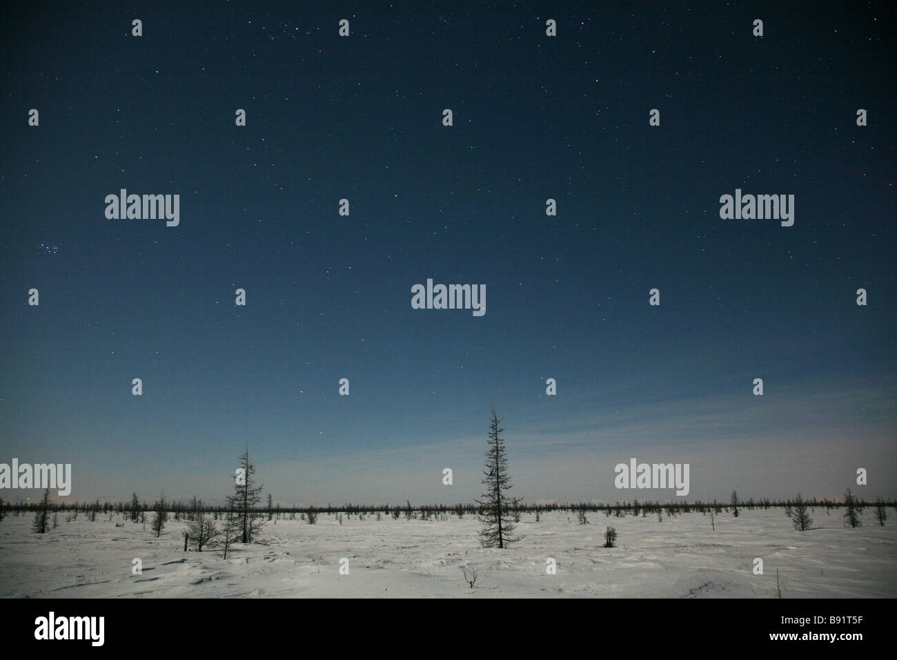 Russia. Yamal Region. Winter. Night. Tundra. The star sky Stock Photo ...