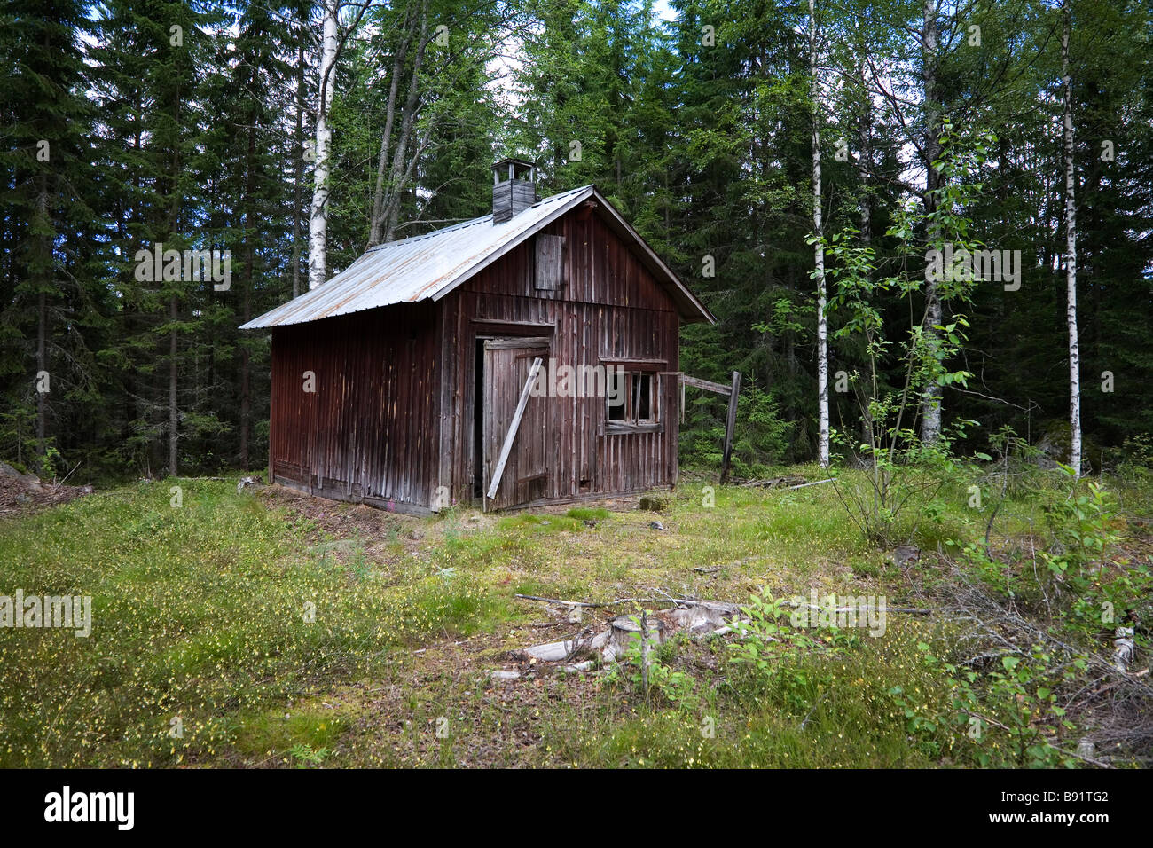 A desolated house in the forest Sweden Stock Photo - Alamy