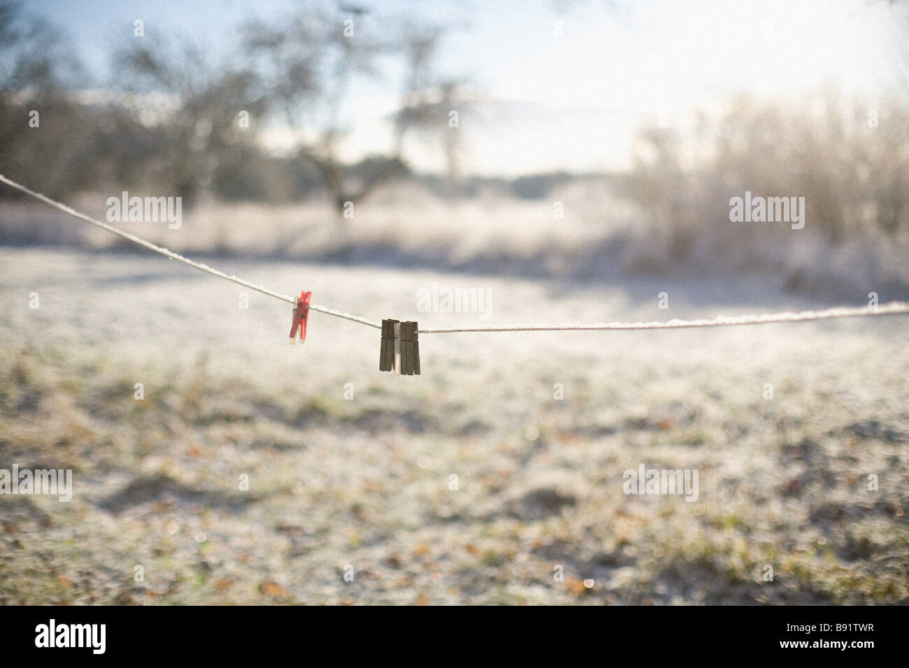 Clothes pegs on a clothes line Sweden Stock Photo - Alamy