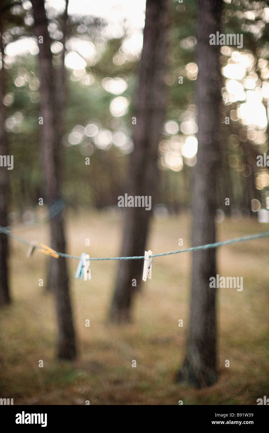 Clothes peg on clothes line Sweden Stock Photo - Alamy