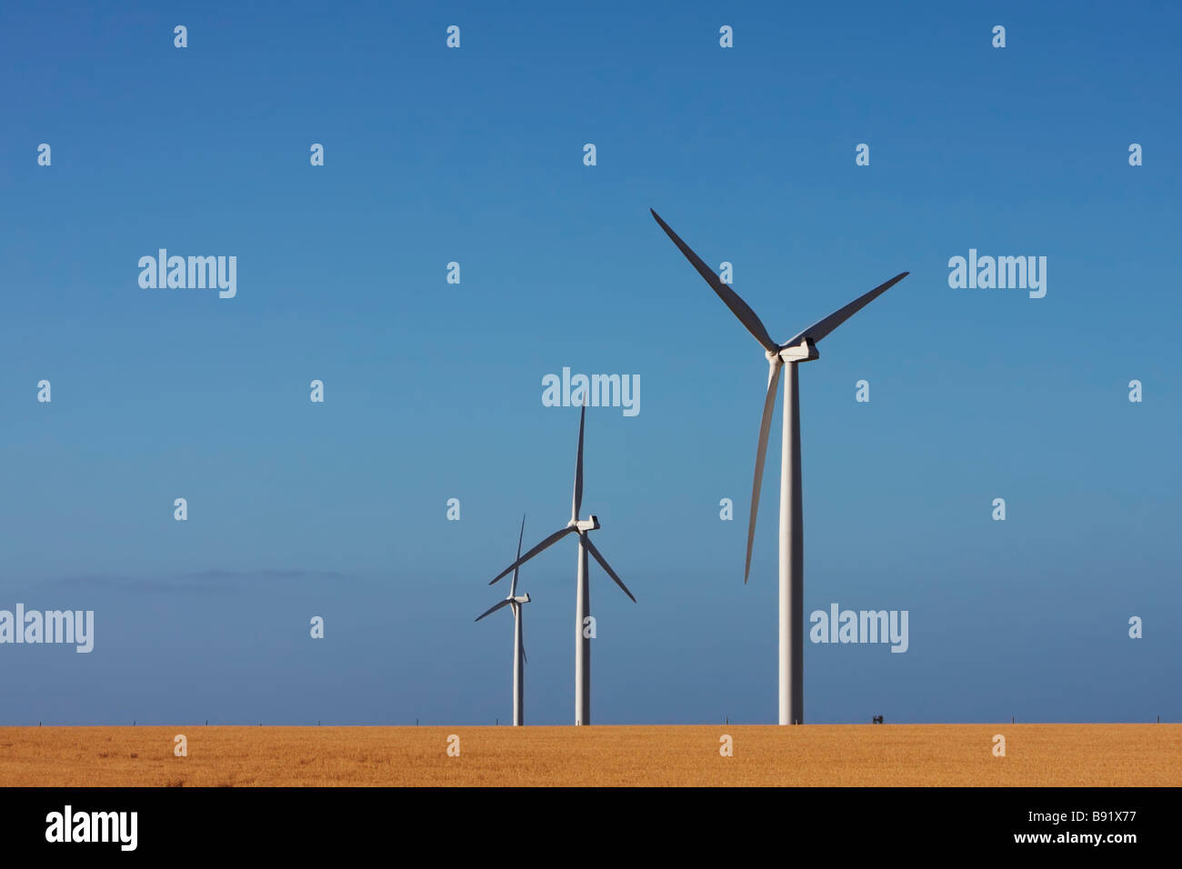 Edithburgh Wind Farm Stock Photo - Alamy