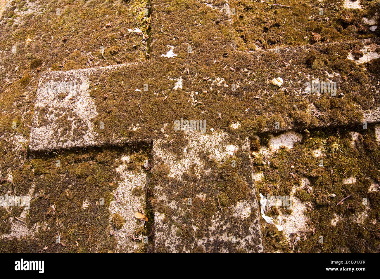 A grave covered in moss at the famous Pere Lachaise graveyard in Paris ...