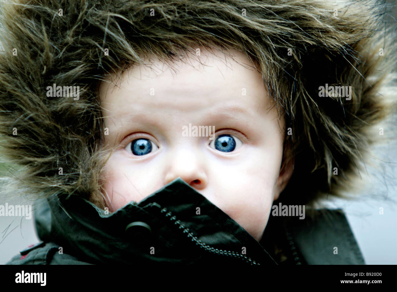 Portrait of a baby Sweden Stock Photo - Alamy