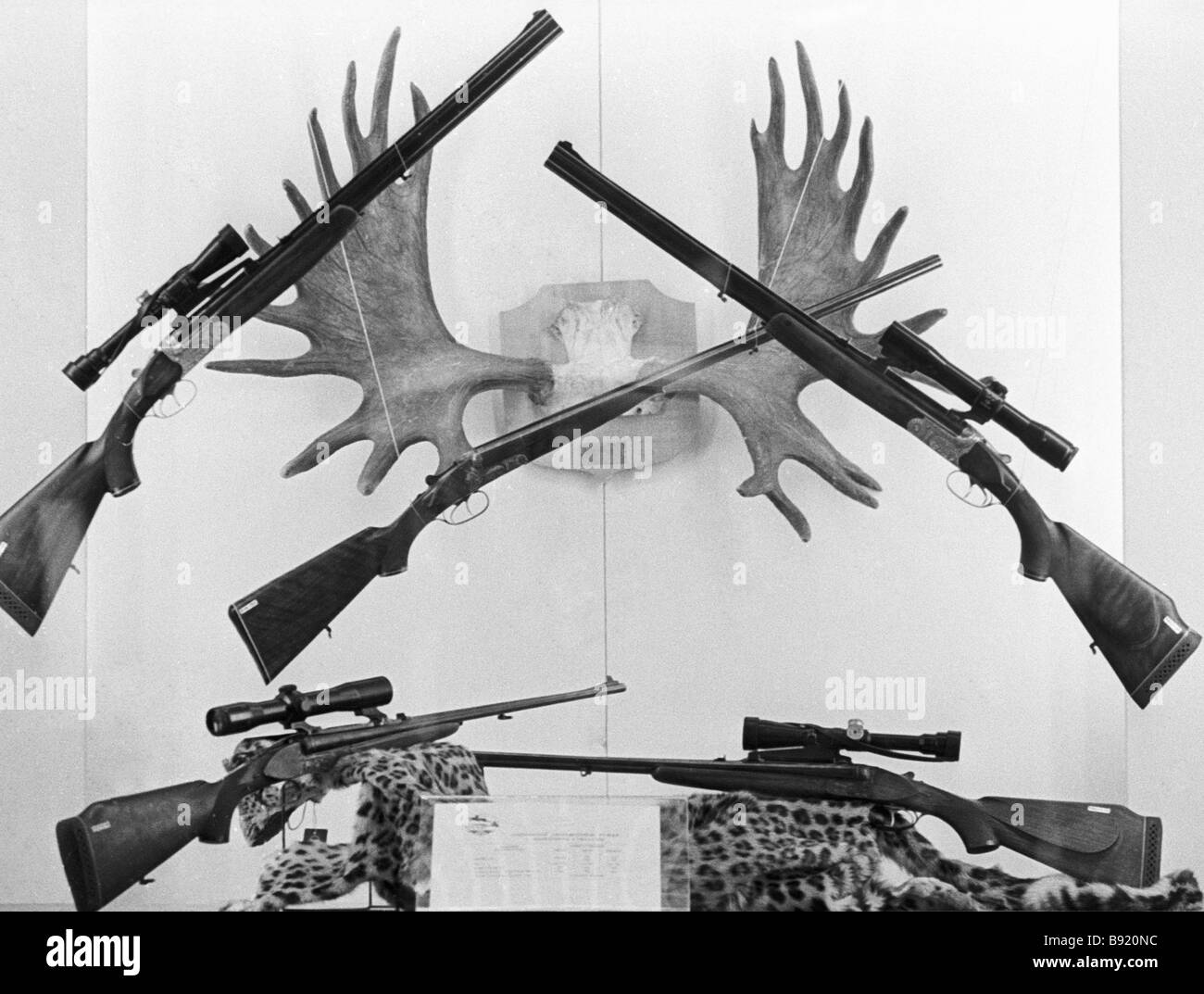 Display at the Hunting Weapons international exhibition Stock Photo - Alamy