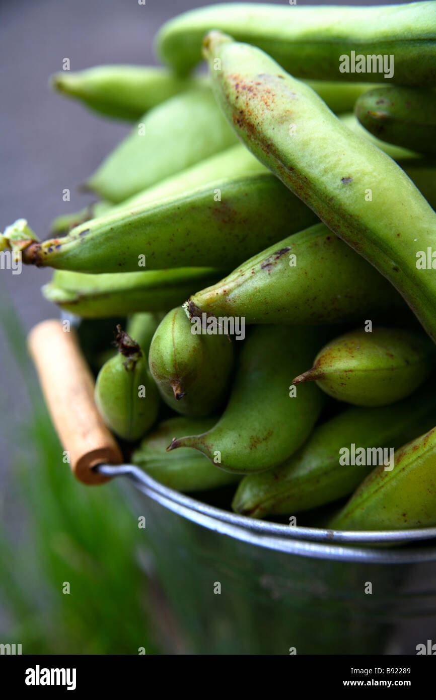 Raw mater hi-res stock photography and images - Alamy