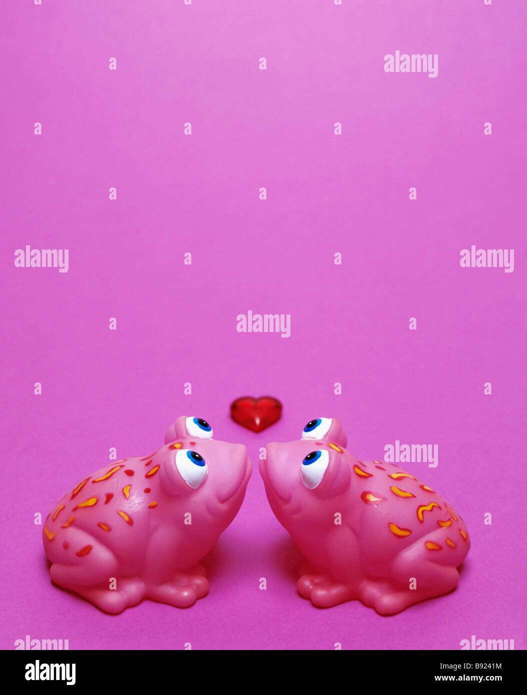 Two frogs kissing Sweden Stock Photo - Alamy