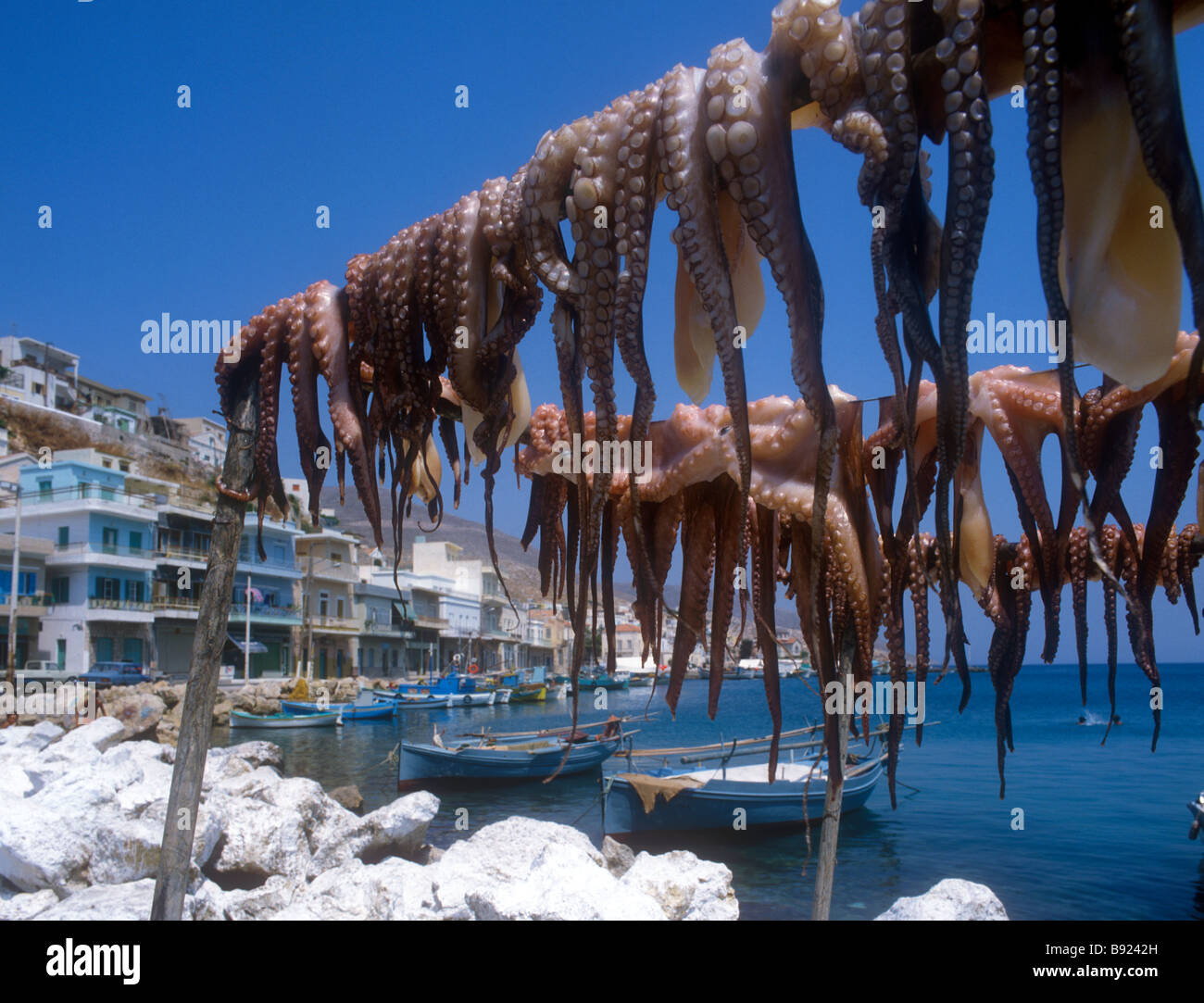Octopus drying in the sun on the harbourside in Kalymnos Town Stock ...