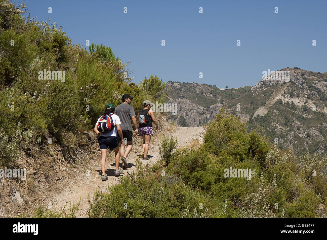 A way between mountains Stock Photo - Alamy