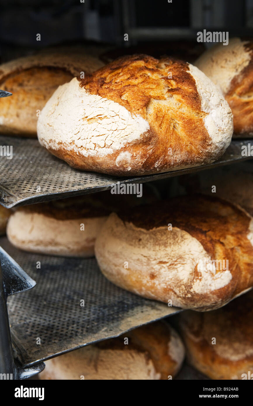 Newly baked bread in a bakery Sweden Stock Photo - Alamy
