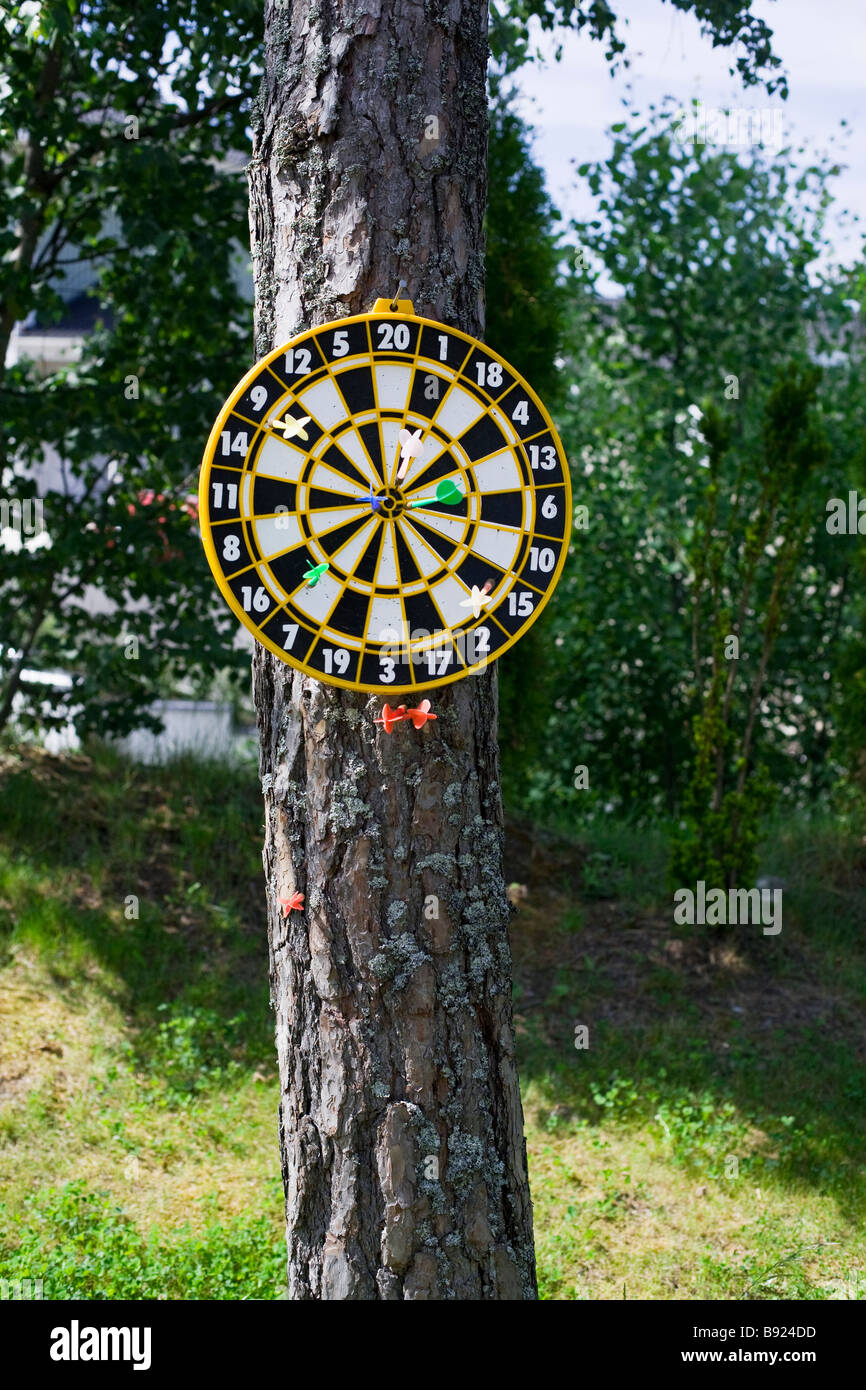 Arrows on a tree Stock Photo - Alamy