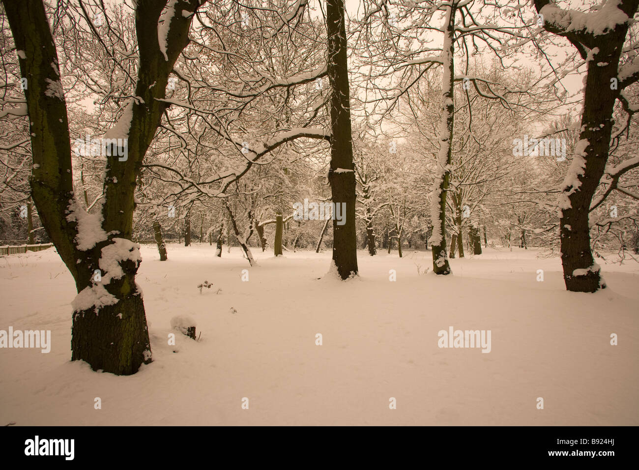 winter scenes kensington london Stock Photo - Alamy