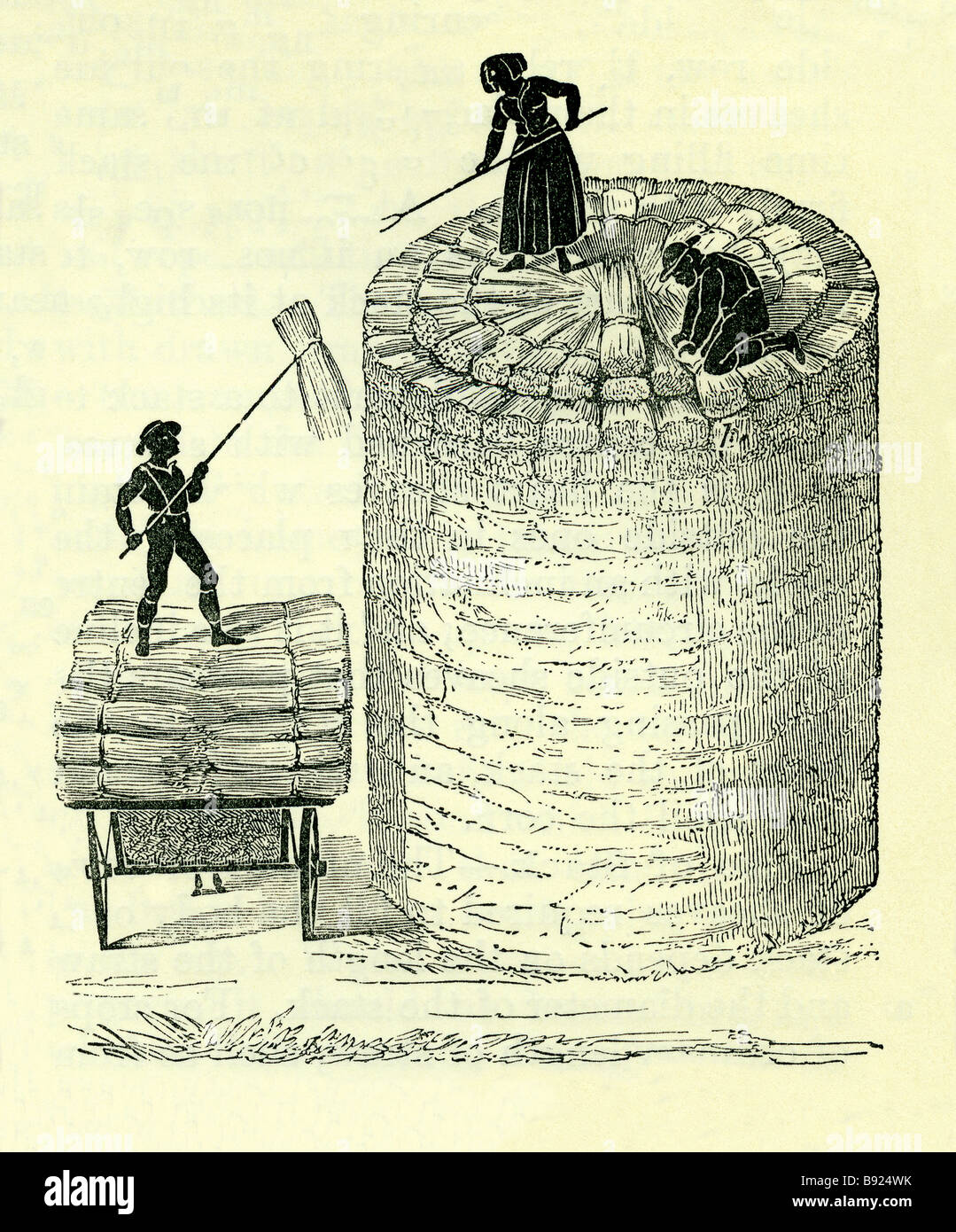 Haystack making on the farm in Victorian times Stock Photo - Alamy