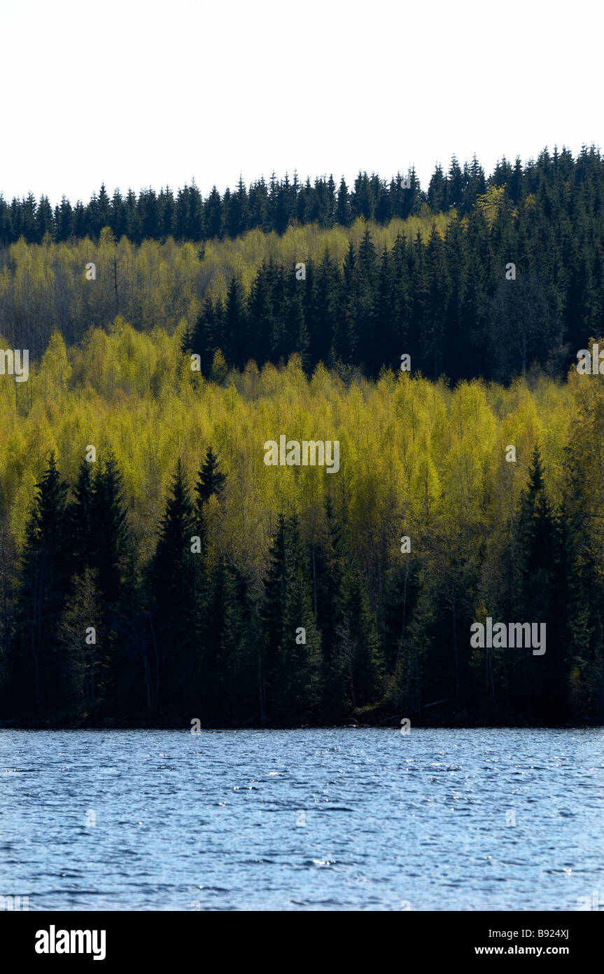 Bergslagen High Resolution Stock Photography and Images - Alamy