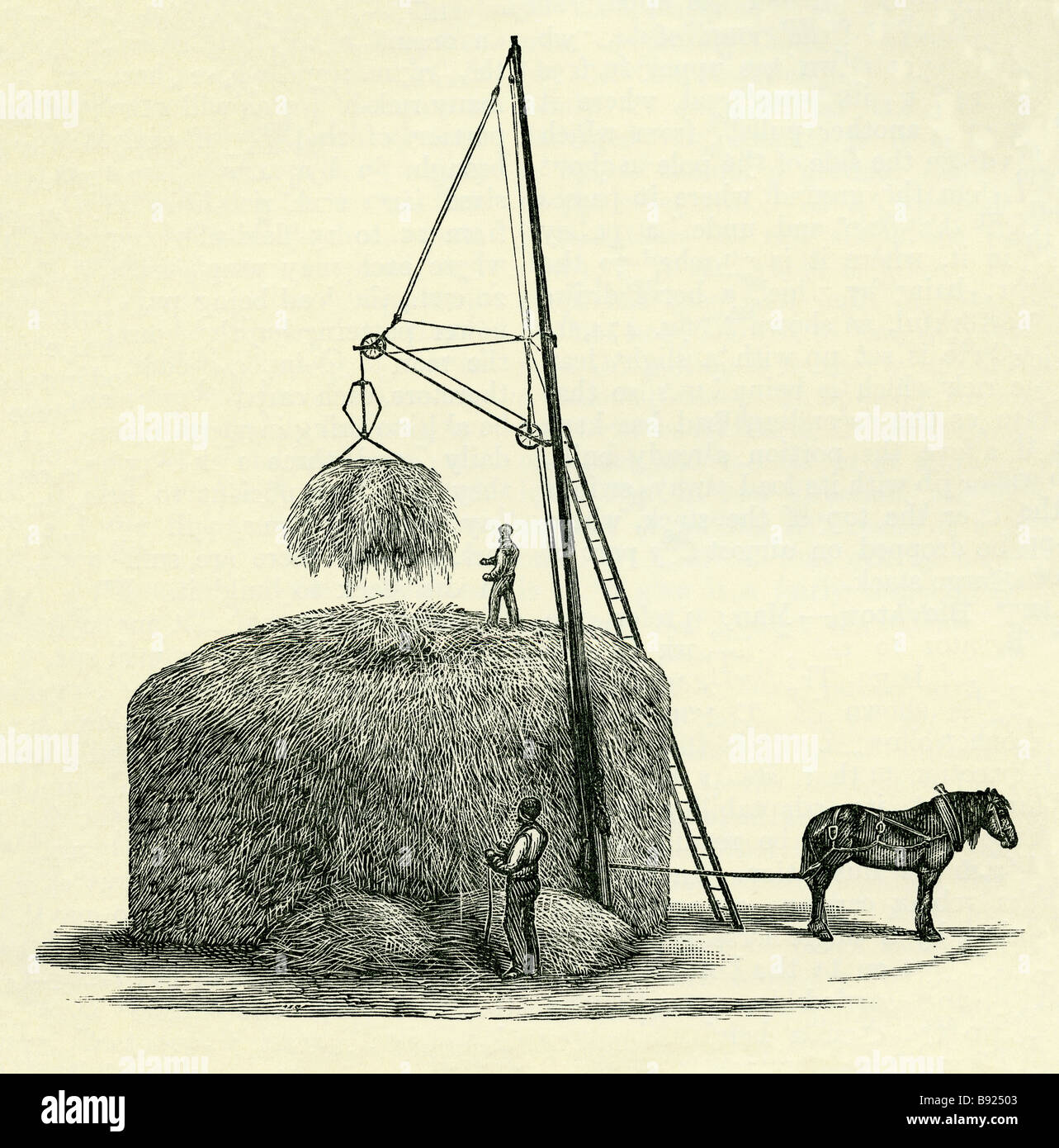 Horse-powered haystack making on the farm in Victorian times Stock ...