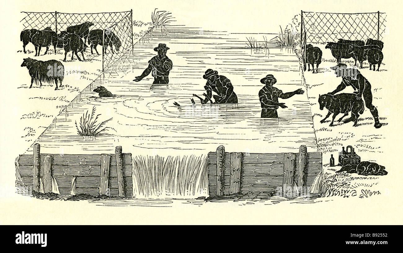 Farm equipment 1800s hi-res stock photography and images - Alamy