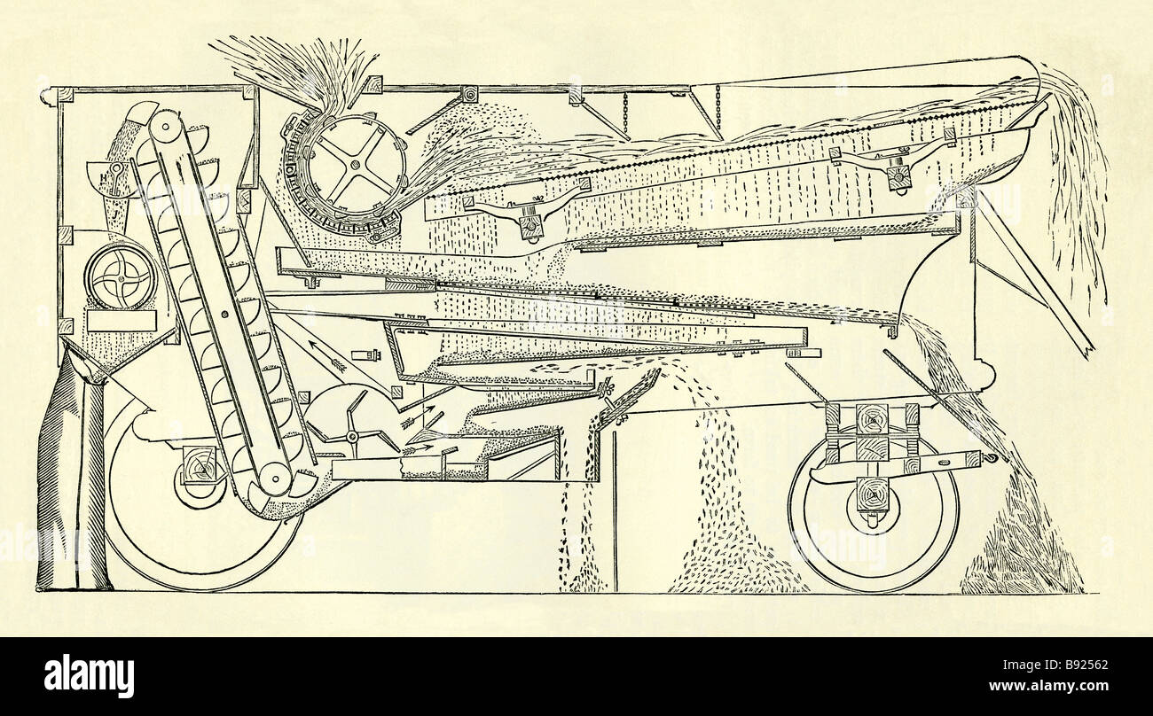 Cross-section showing the workings of a threshing machine used on the ...
