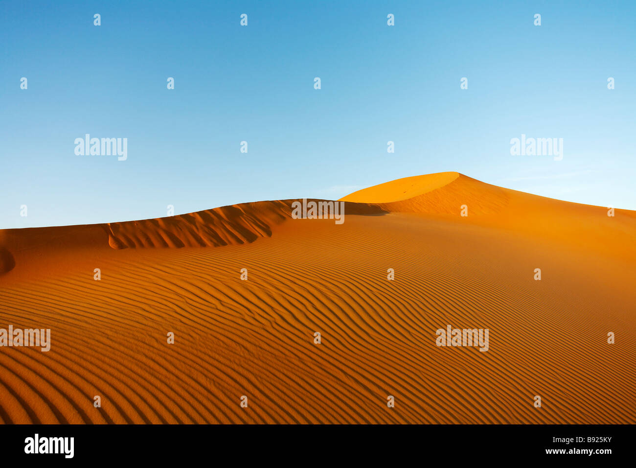 Desert sand dunes in Abu Dhabi United Arab Emirates Stock Photo - Alamy