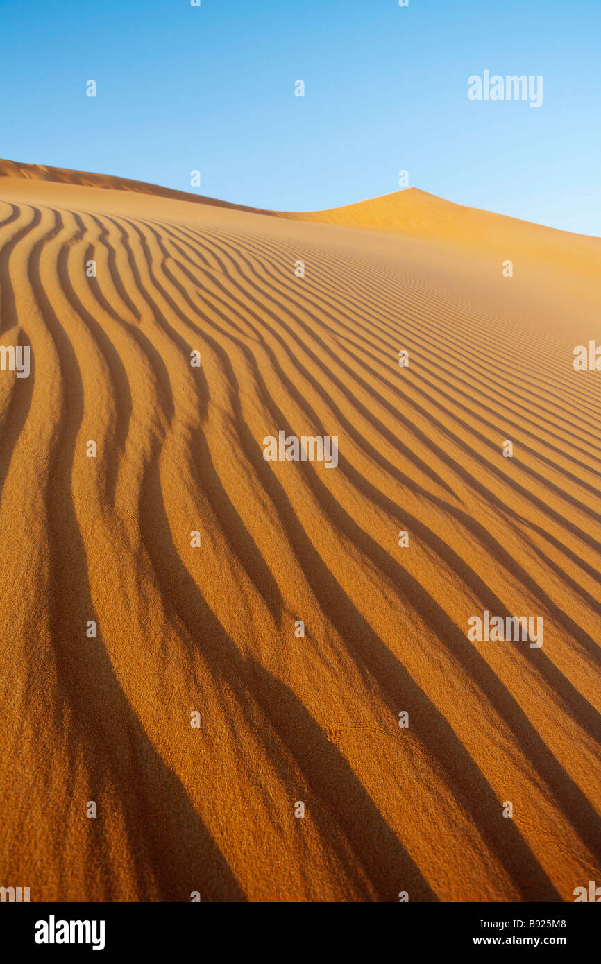 Ripples in the sand dunes of the Abu Dhabi desert Abu Dhabi United Arab ...