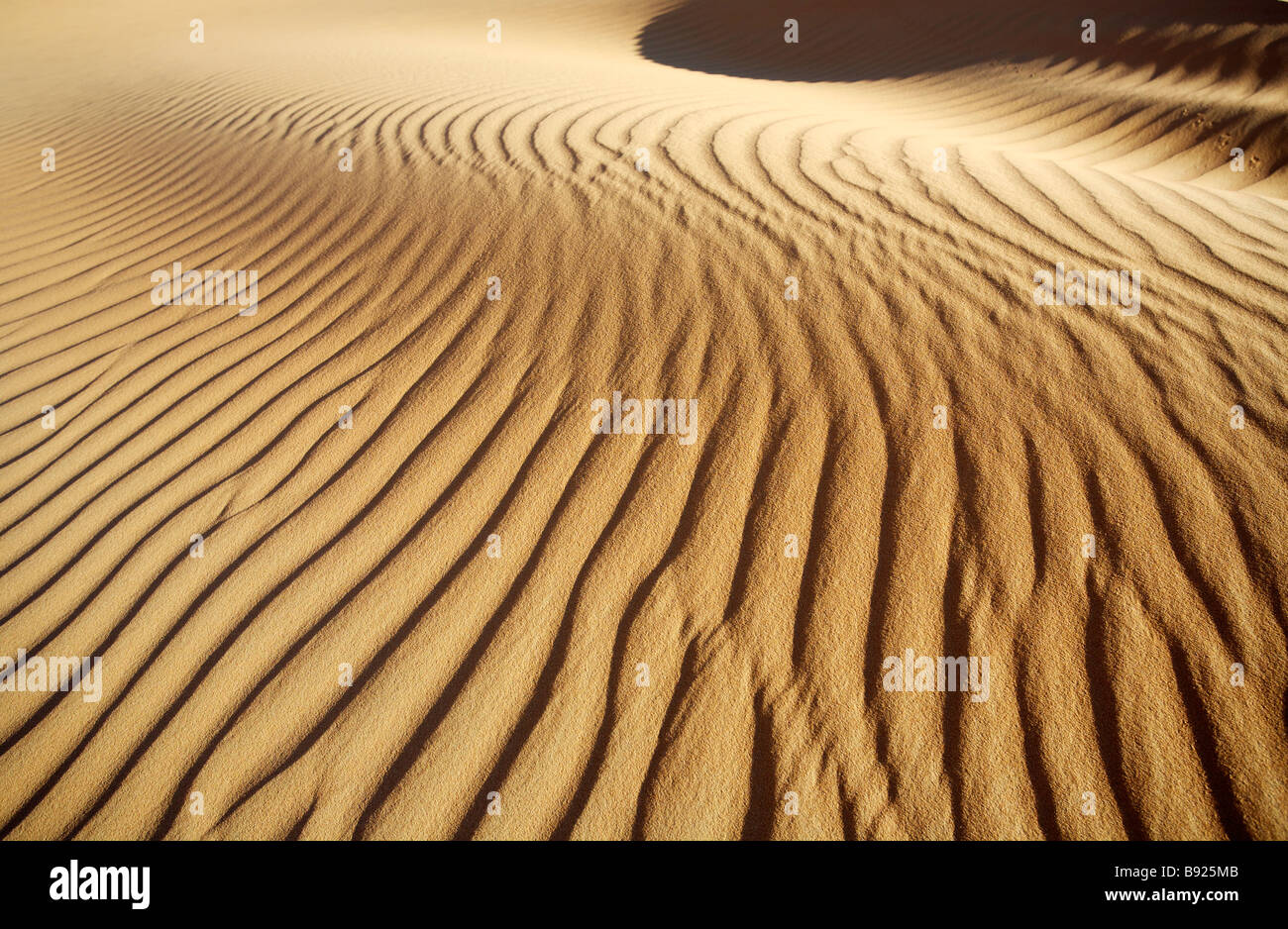 Ripple wind patterns on the sand in the Abu Dhabi Desert United Arab ...