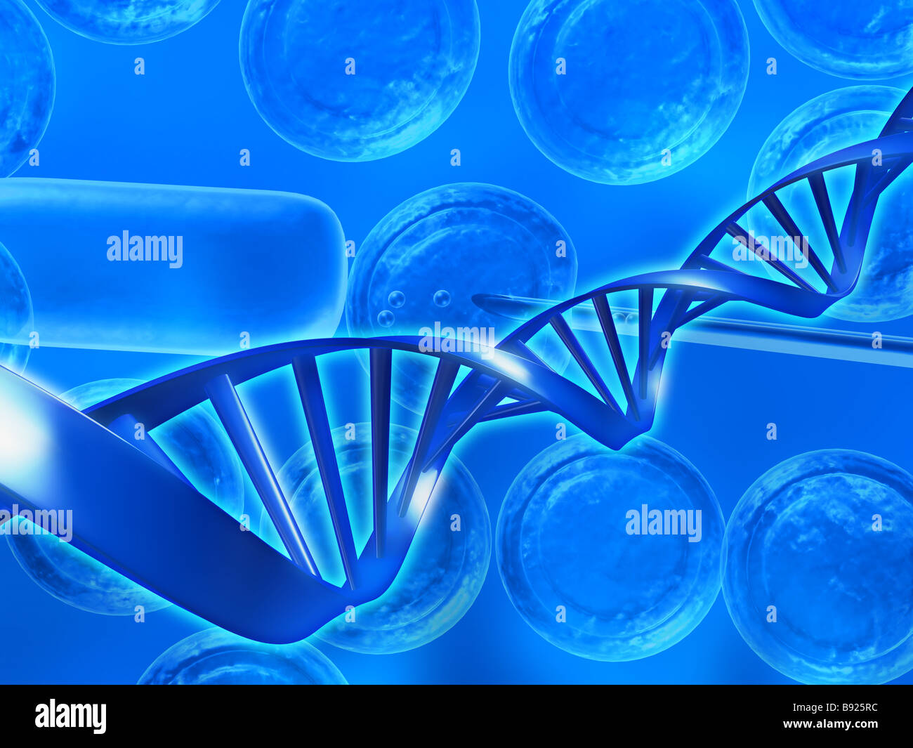 Genetic manipulation hi-res stock photography and images - Alamy