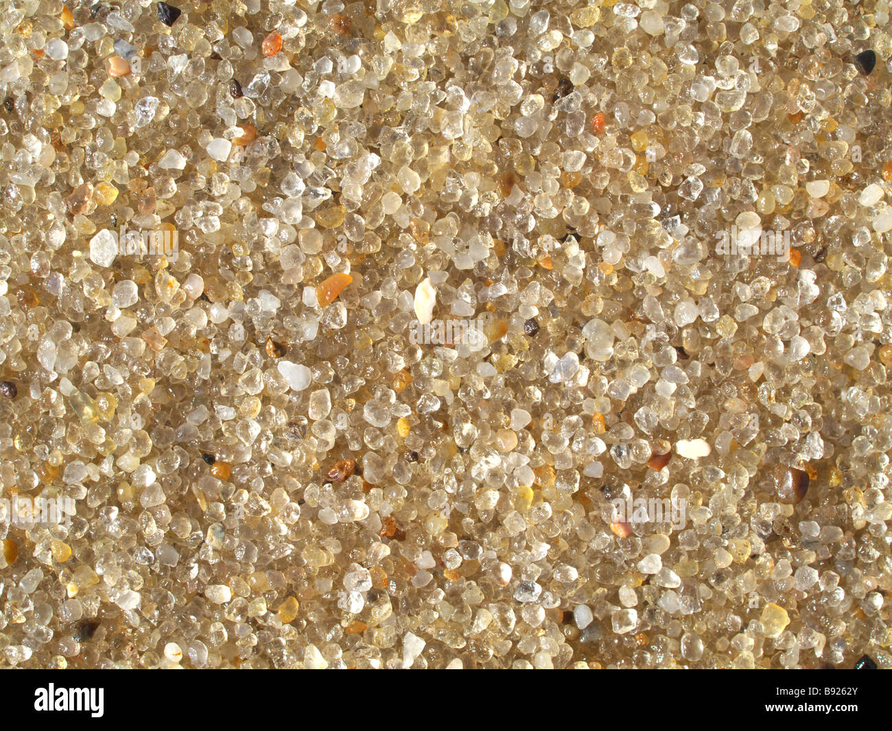 Sand grain hi-res stock photography and images - Alamy