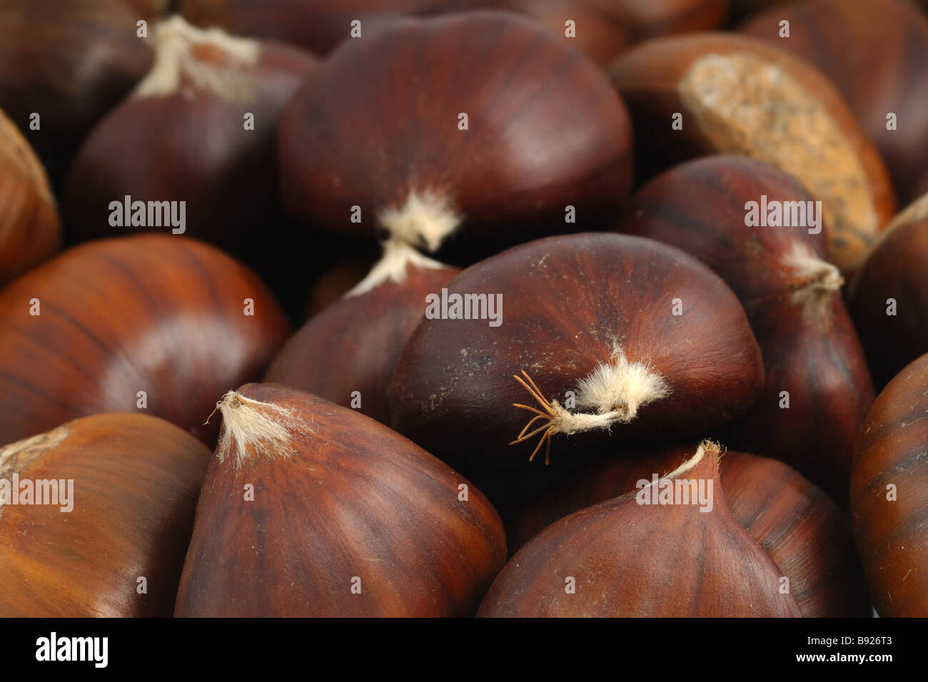 A Bunch of Fresh chestnuts Stock Photo - Alamy