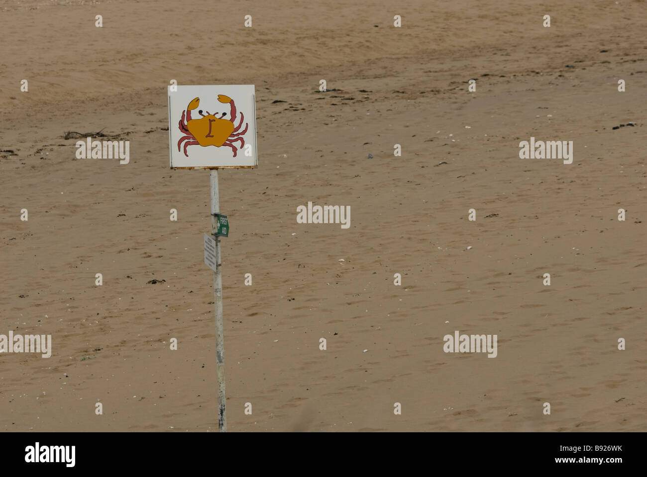 Beware of Crabs Stock Photo - Alamy