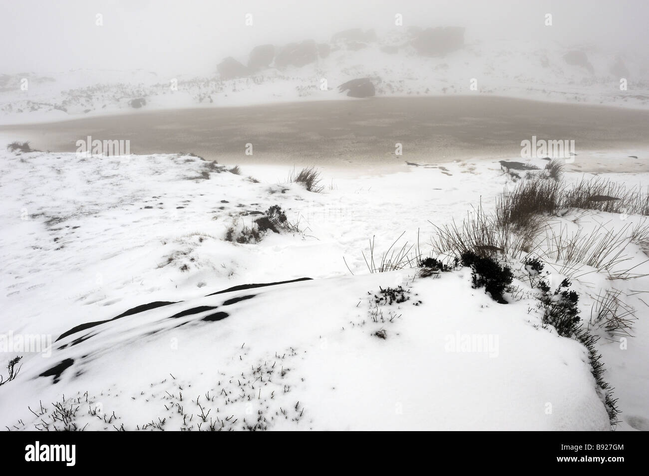 The snow and mist covered ridge of the Staffordshire Roaches at Doxey ...