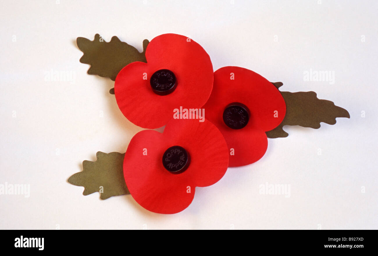 Remembrance poppy cut out hi-res stock photography and images - Alamy