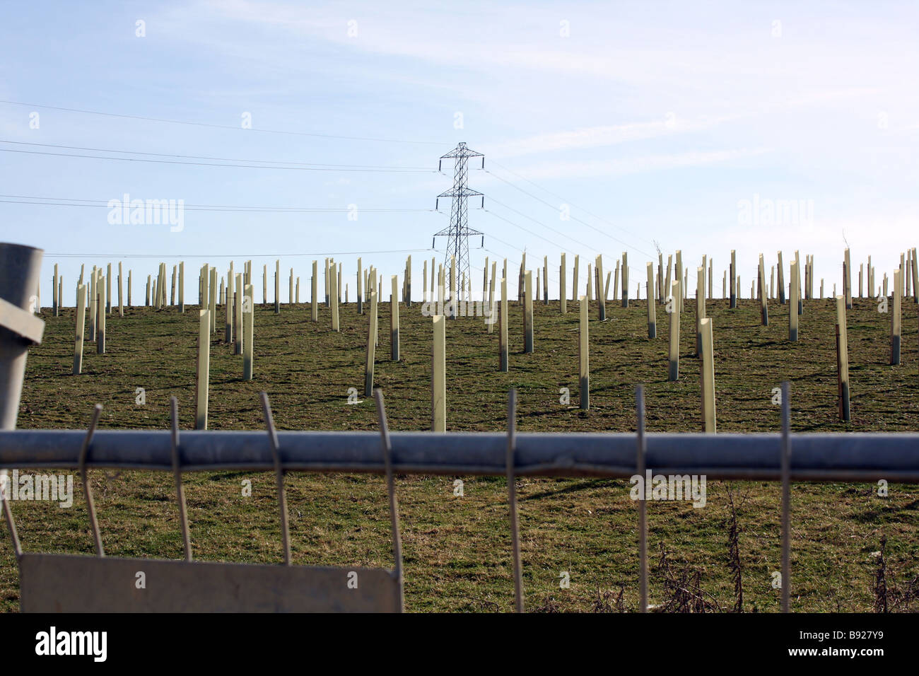 Trees planted on reclaimed rubbish tip Stock Photo - Alamy