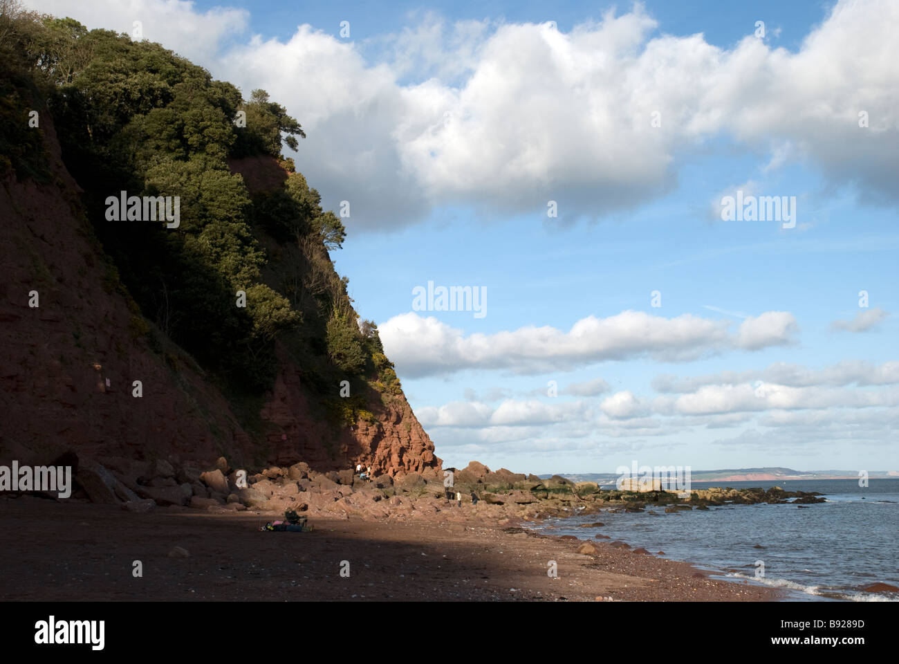 The Ness at Shaldon,Teignmouth,Devon Stock Photo - Alamy