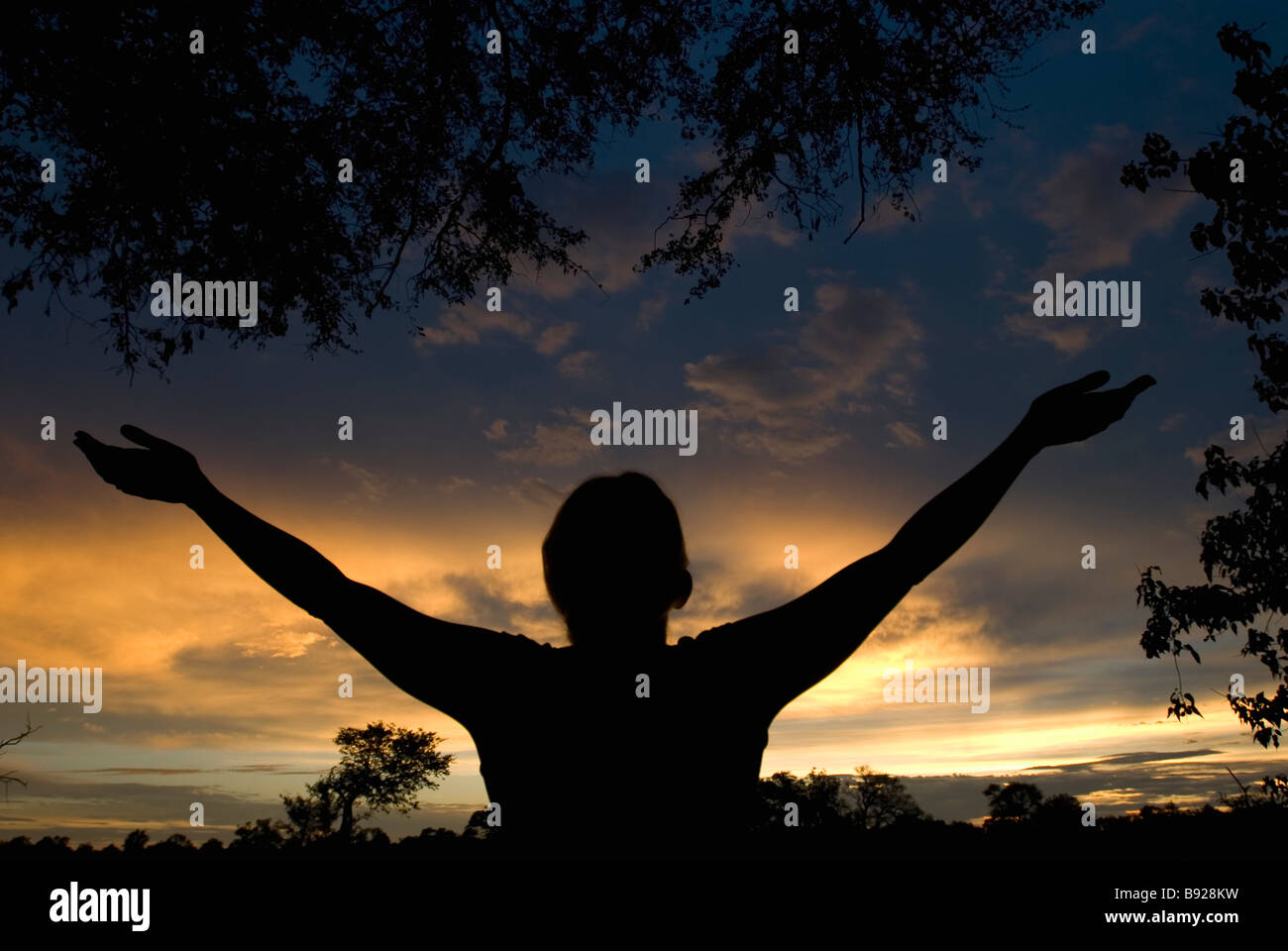 Arms upraised hi-res stock photography and images - Alamy