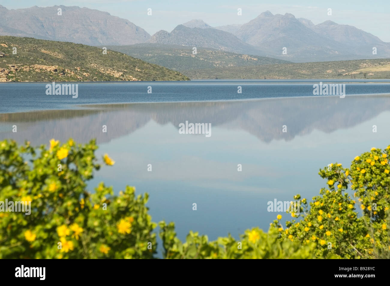Tranquil scene on Clanwilliam dam Western Cape Province South Africa ...