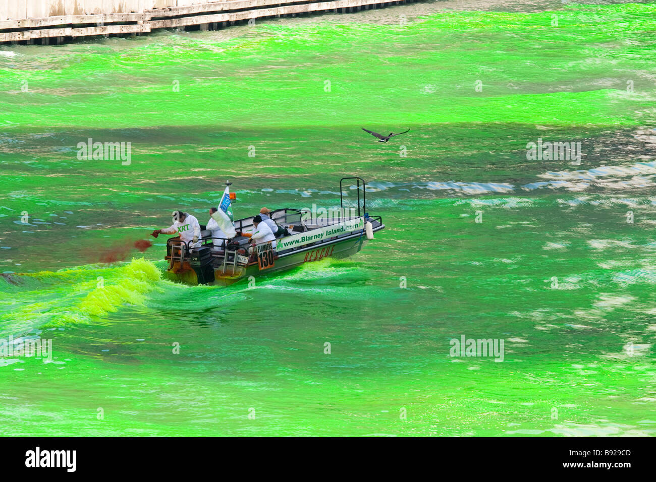 Chicago river being dyed green for St. Patrick's Day celebration ...