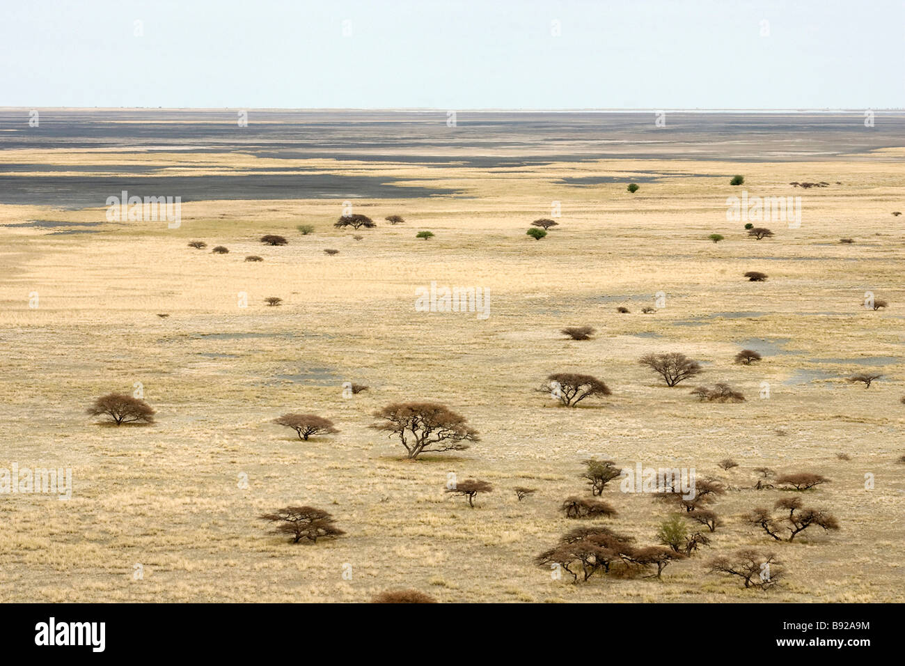 Aerial view of edge of salt pans Makgadikgadi pans Botswana Stock Photo ...