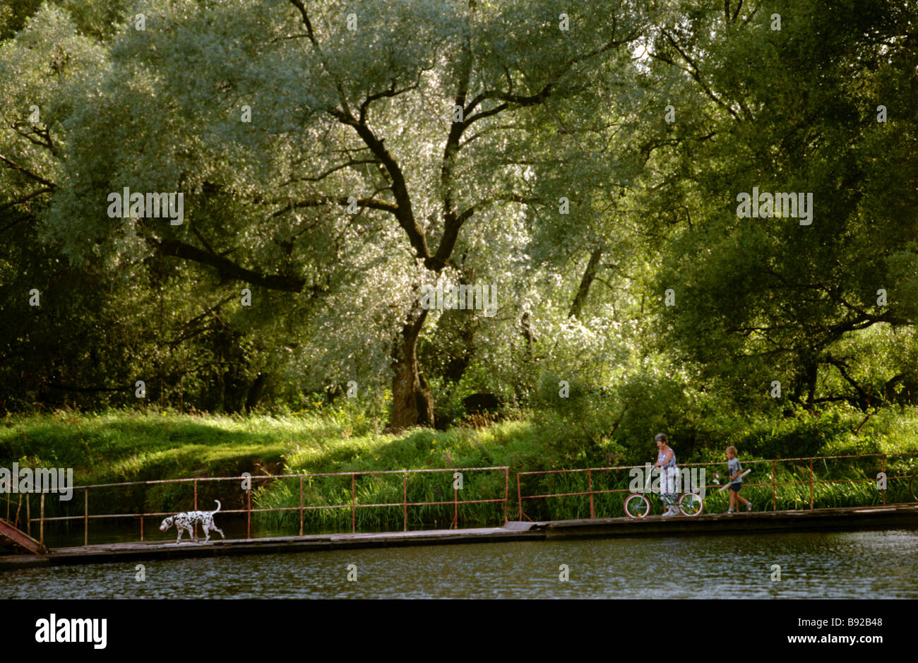 A pontoon bridge across the Protva River in the Kaluga Region Central ...