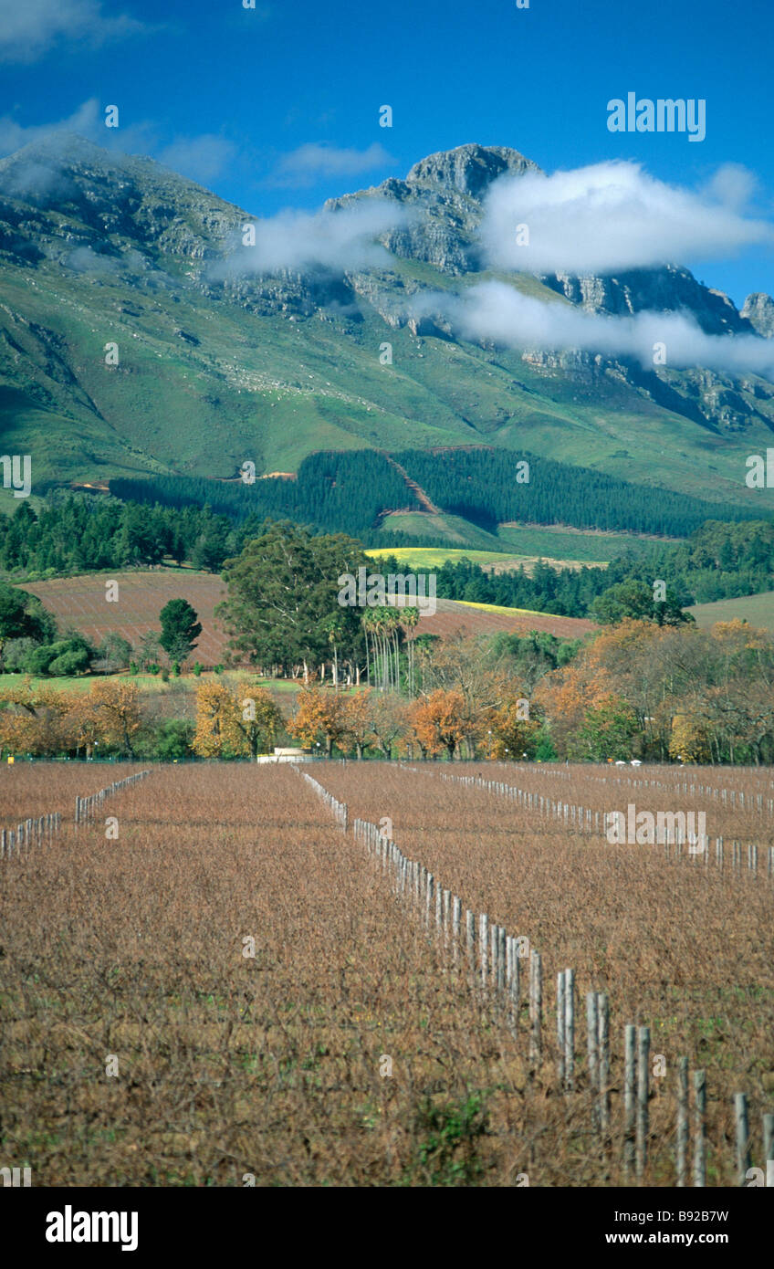 Winelands district hi-res stock photography and images - Alamy