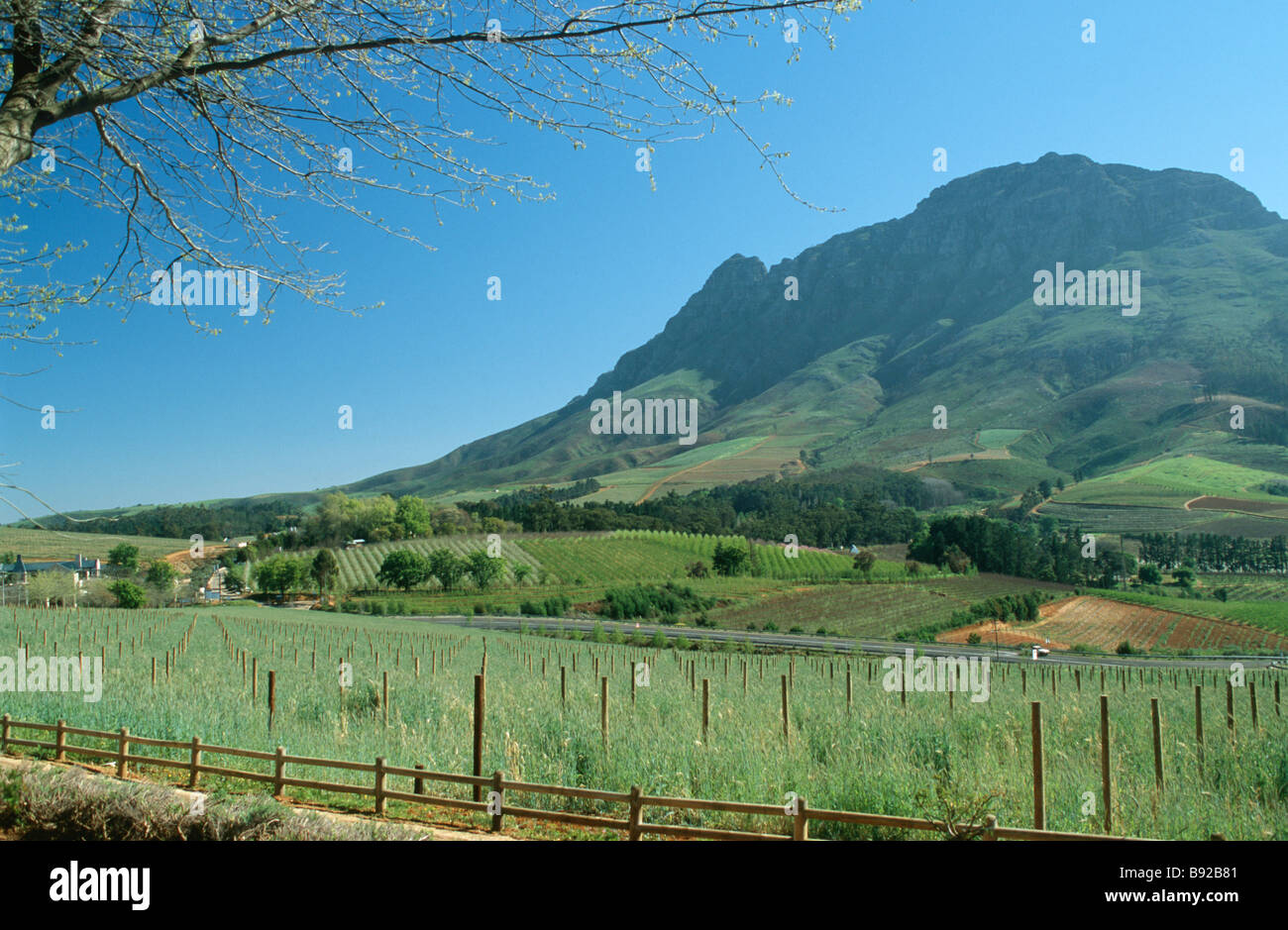 Boland western province hi-res stock photography and images - Alamy