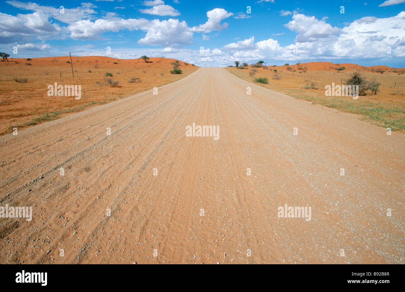 Namibian desert hi-res stock photography and images - Alamy