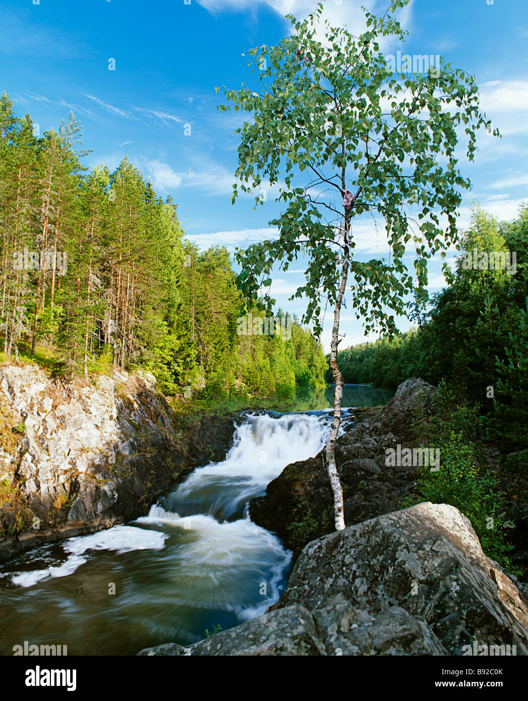 Kivach waterfall in the nature reserve of the same name in Karelia ...