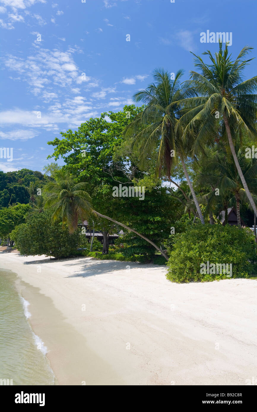Beach & palm trees Palau Pangkor Laut, West coast, Malaysia Stock Photo ...