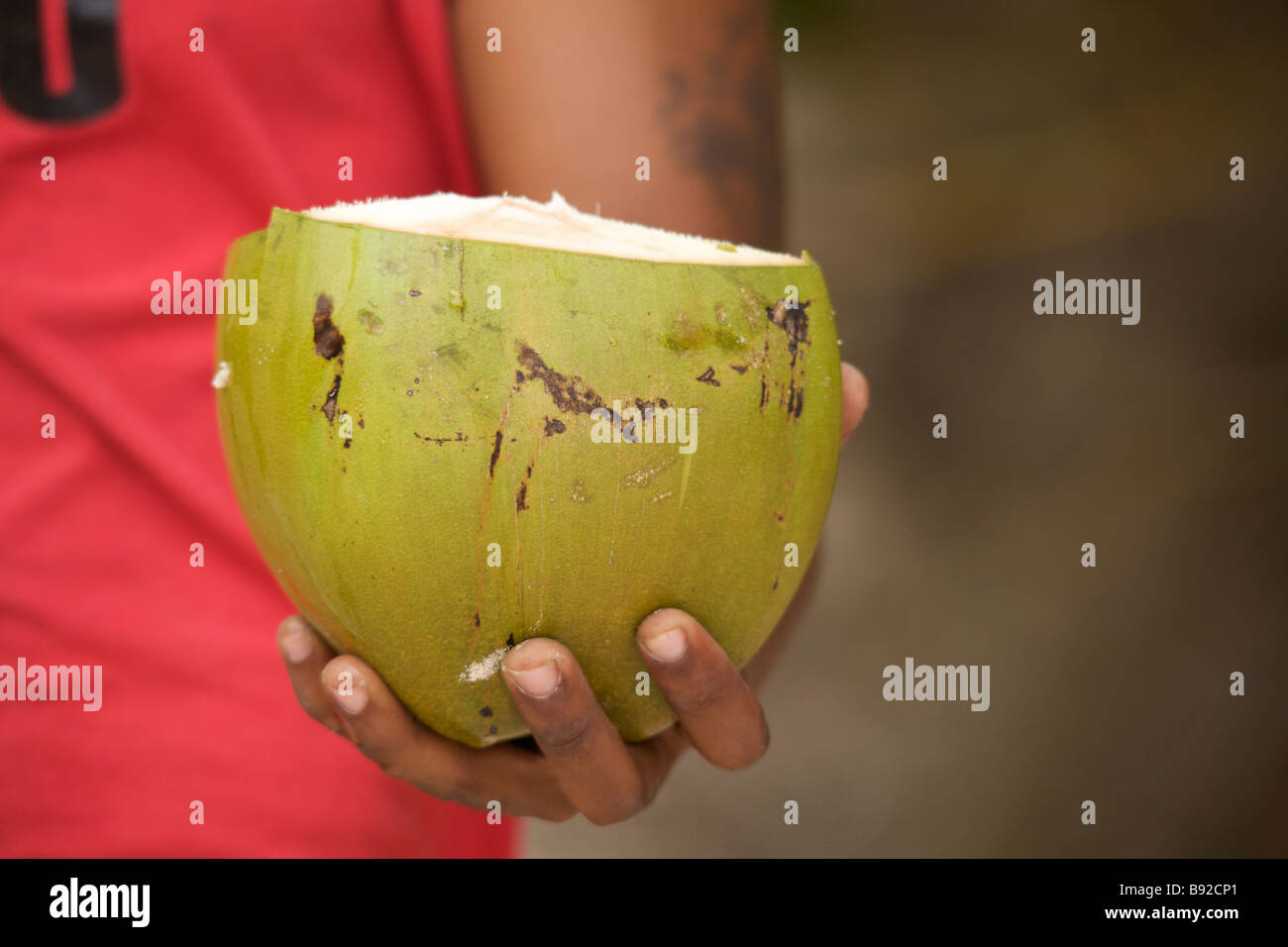 Close up demonstration on how to open a coconut at Crane Beach, West ...