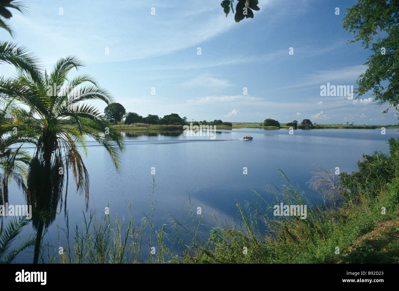 View of the Chobe River with palm tree and a boat Chobe River Namibia ...