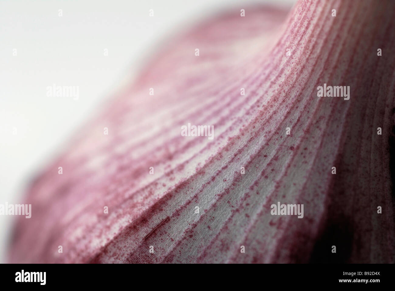 Medicinal bulb hi-res stock photography and images - Alamy