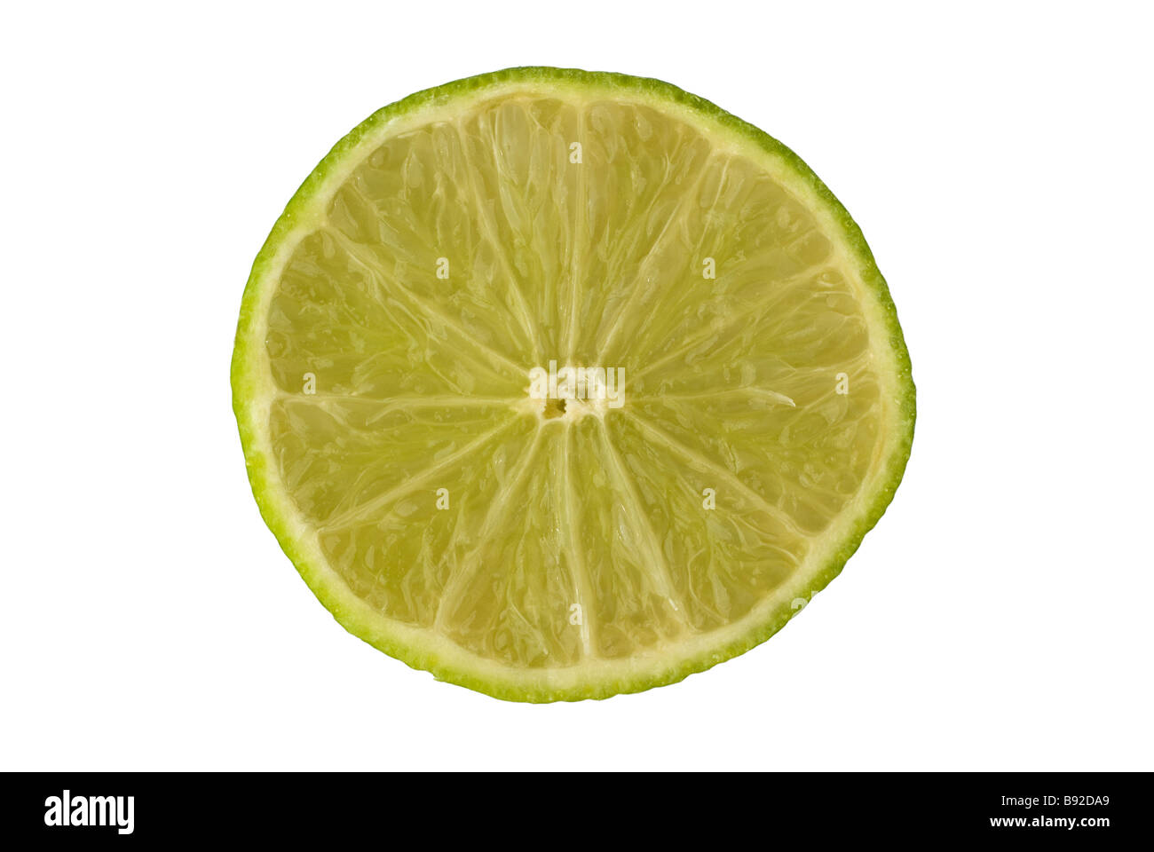 Lime cut in half, cut out photograph Stock Photo - Alamy