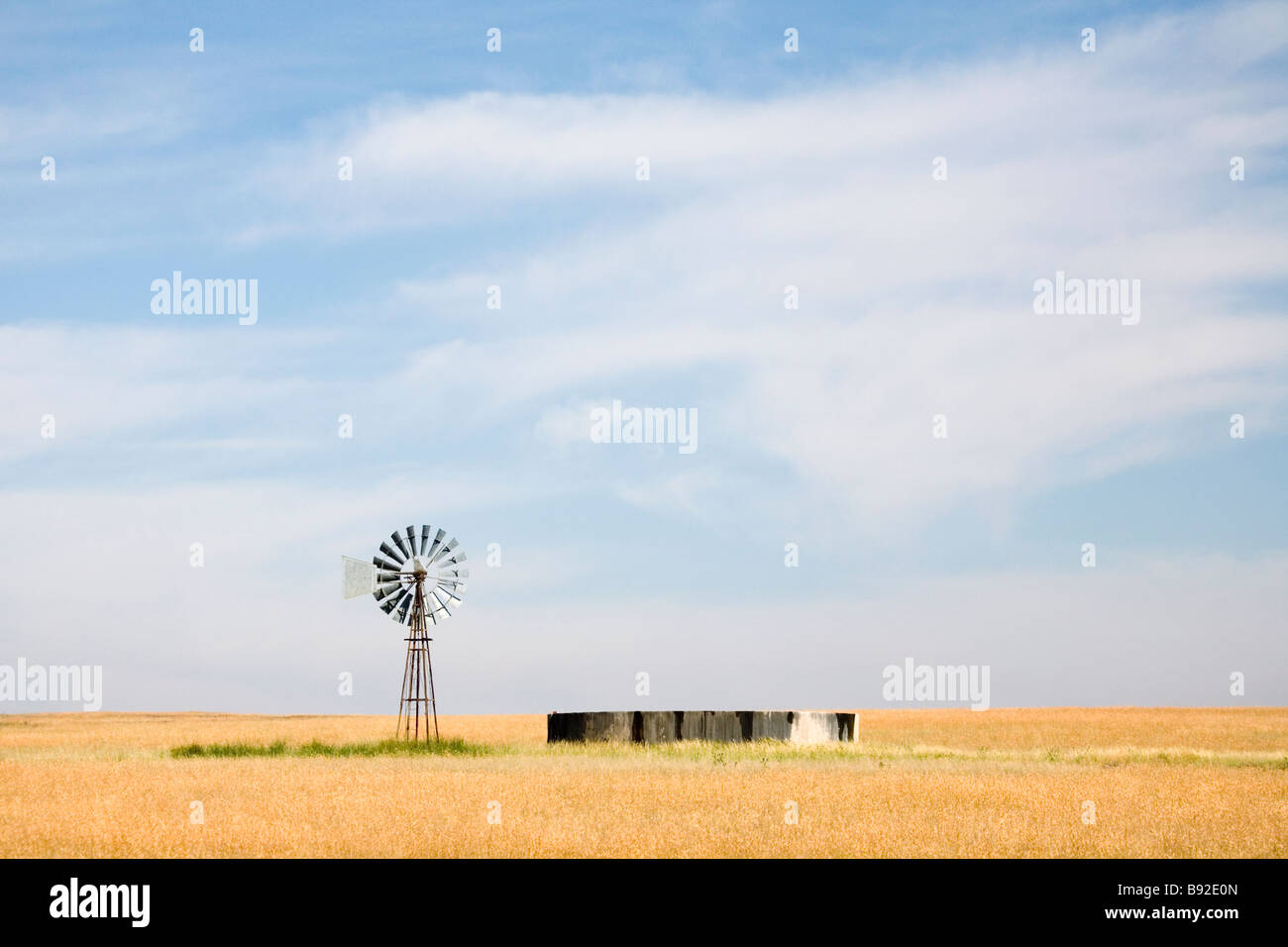 The vastness of a Free State Province farm with typical windmill and ...