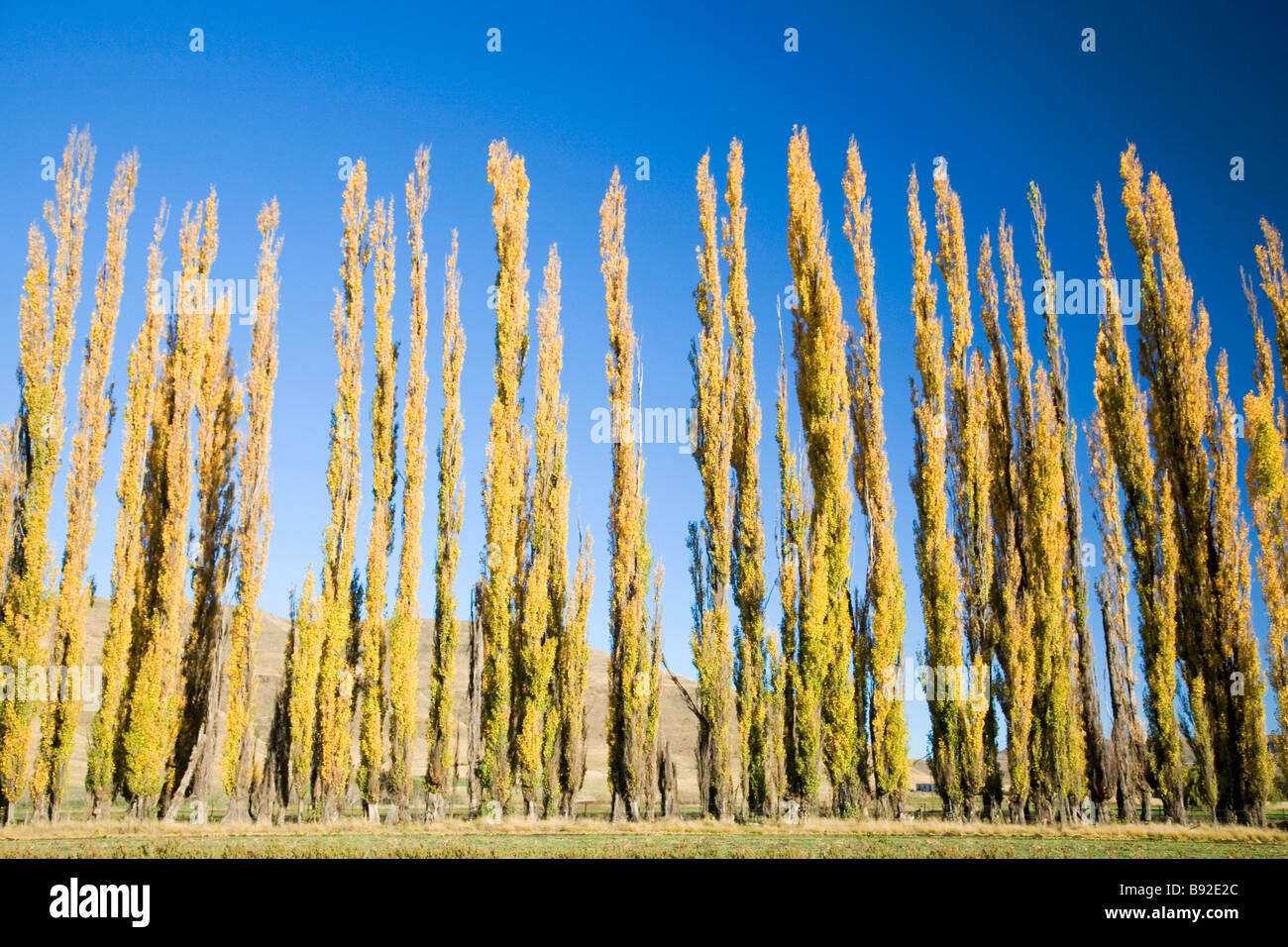 In the eastern cape province hi-res stock photography and images - Alamy