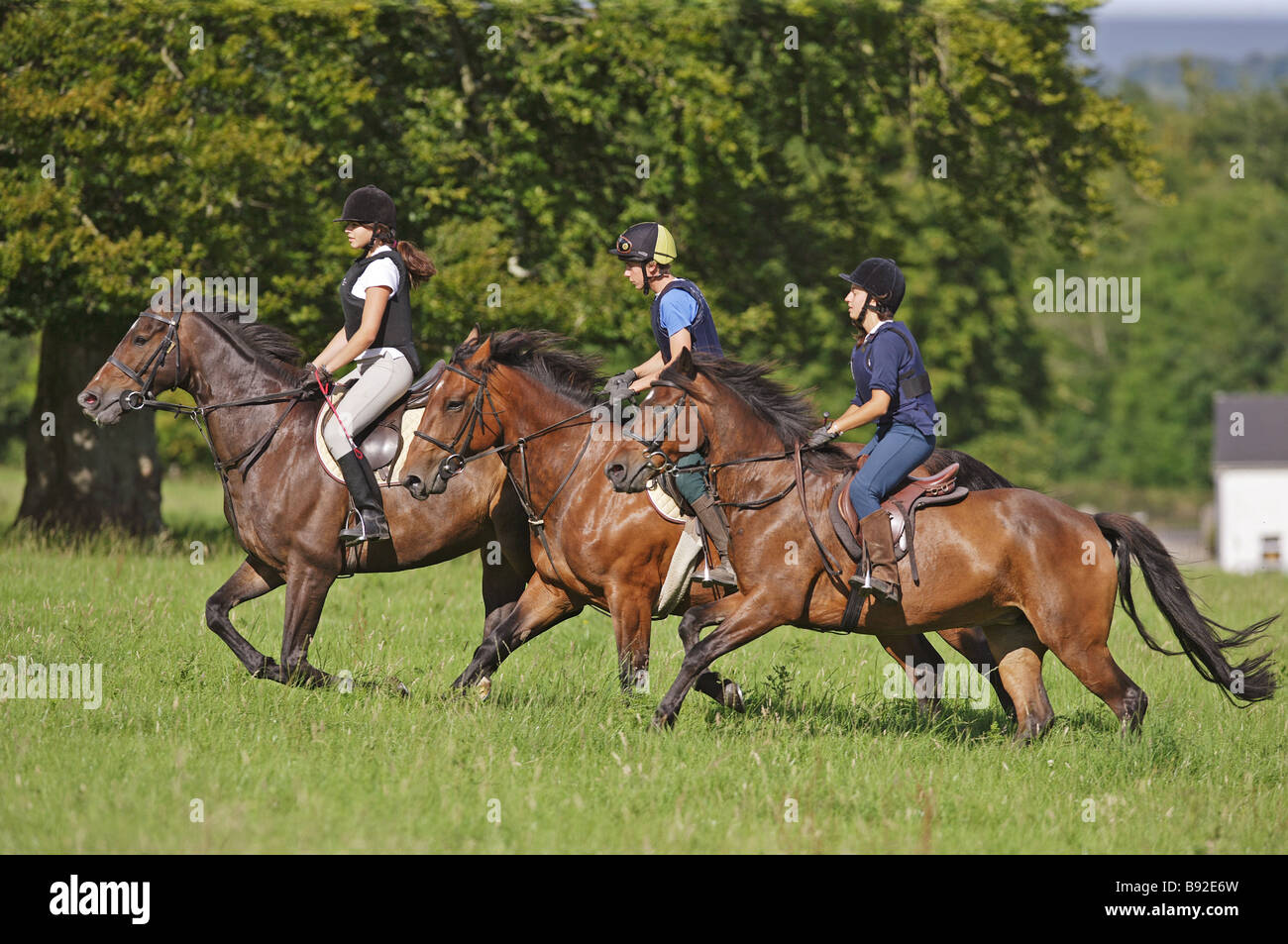 Three riders on horses hi-res stock photography and images - Alamy